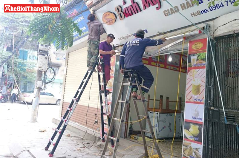 Những kiểu thang nhôm nổi bật của thương hiệu PAL | Thegioithangnhom